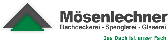 Firma Mösenlechner